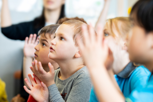 New Zealand Sign Language