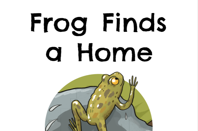 Frog Finds a Home - Big Book