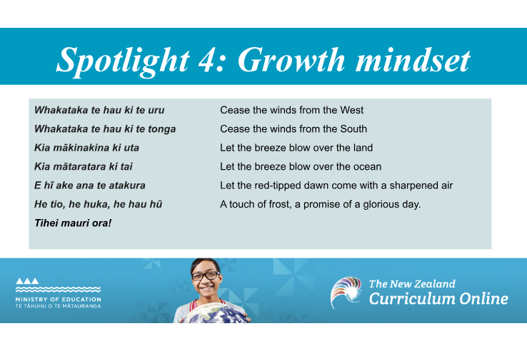 Growth mindset – PLD session for schools