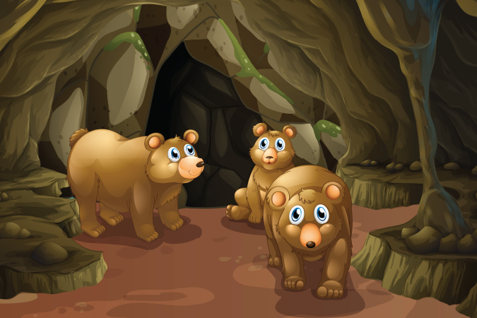 Bears in caves