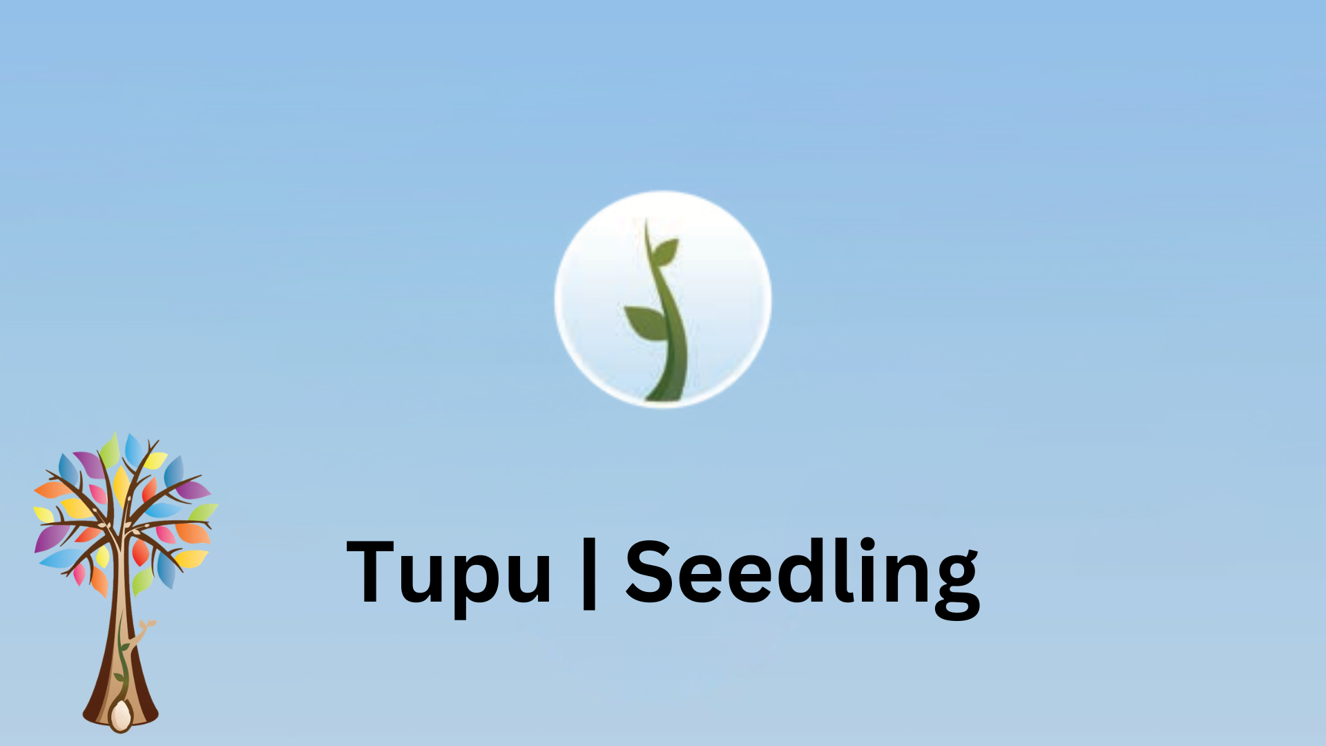 Ready to Read Phonics Plus Phase 2 – Tupu l Seedling