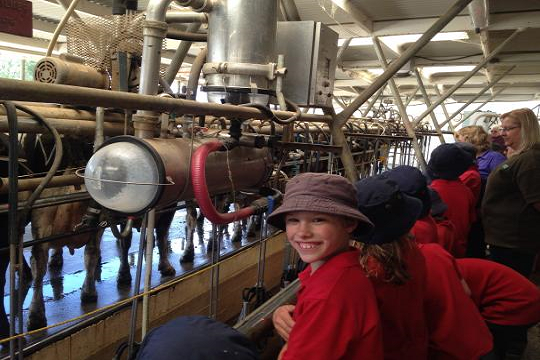 Case study - A dairy farm as a technological system