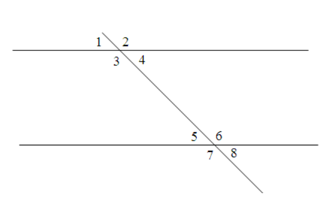 NZC: Glossary of mathematics terms