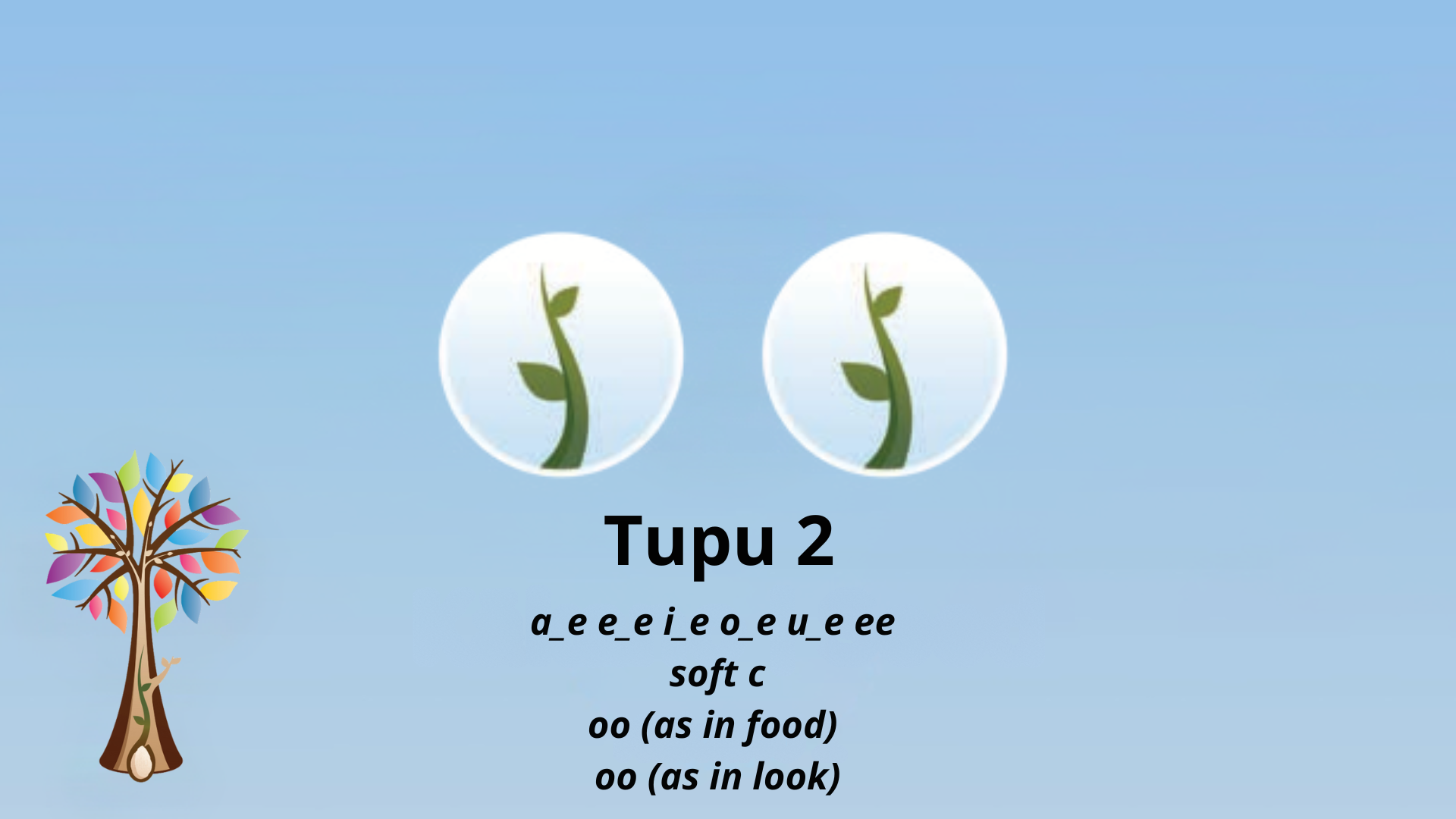 Ready to Read Phonics Plus - Tupu 2