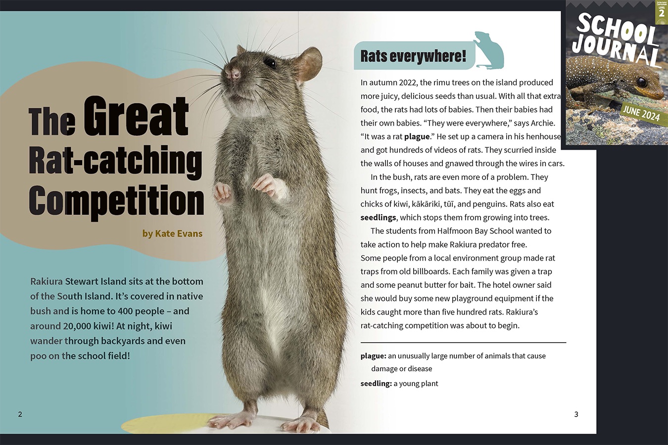 The Great Rat-catching Competition
