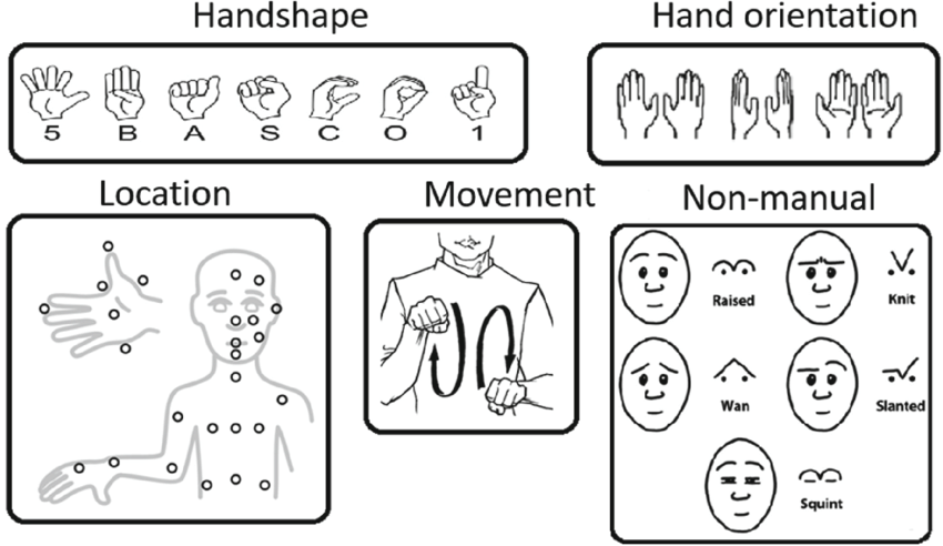 NZC – New Zealand Sign Language – Novice