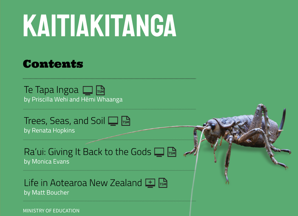 Connected 2020 Level 3 - Kaitiakitanga