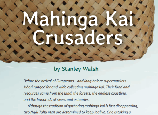 Mahinga Kai Crusaders