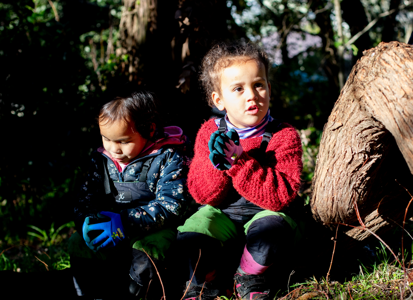 Creating a place-based curriculum through a shared vision