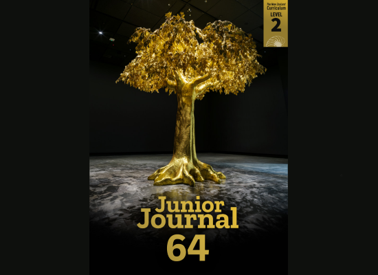 Junior Journal 64 Level 2 2022