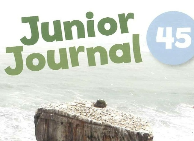 Junior Journal 45 Level 2 2012