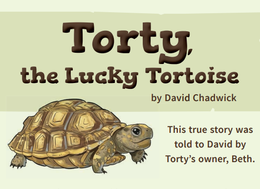 Torty the Lucky Tortoise
