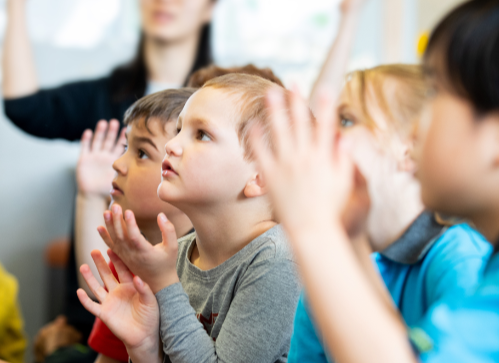 New Zealand Sign Language
