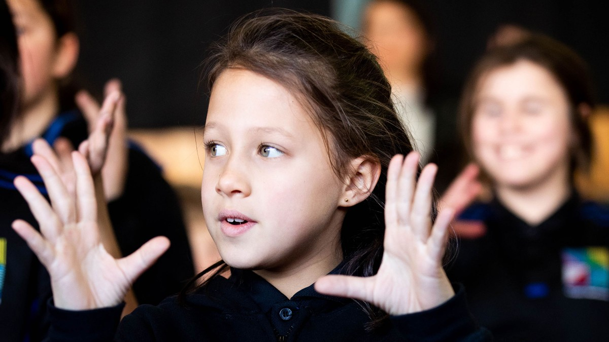 Whai - String games - Activity collection