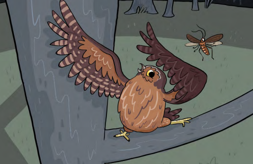 Chit Chat - Kākano 3