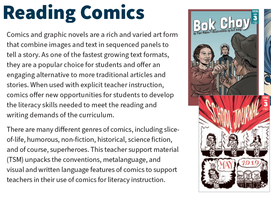 Reading Comics Teacher Support Material