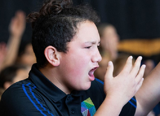 Tī rākau - Stick games - Activity collection