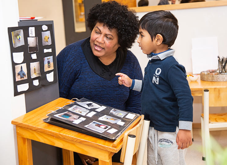 Reading and oral language - Te reo pānui me te reo ā-waha