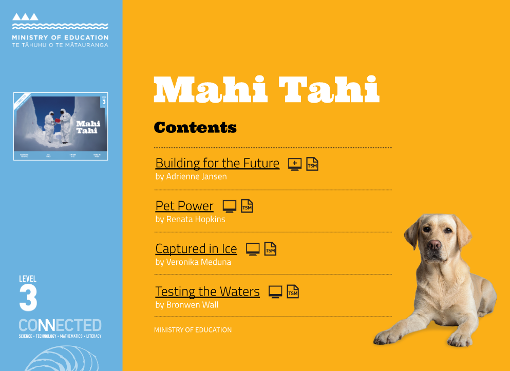 Connected 2017 Level 3 - Mahi Tahi