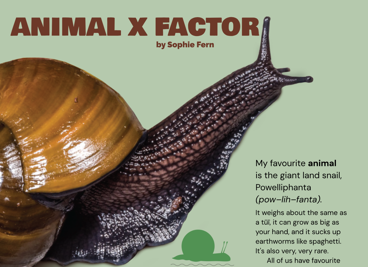 Animal X Factor