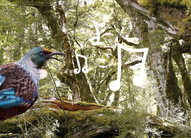 Connected 2017 Level 2 - Taking Action