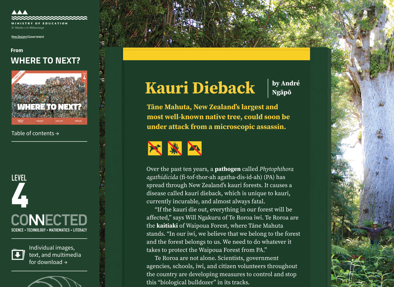 Kauri Dieback