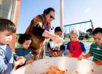 NELP Support Resources