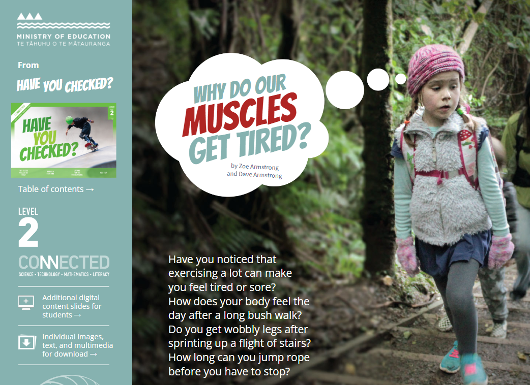 Why Do Our Muscles Get Tired?