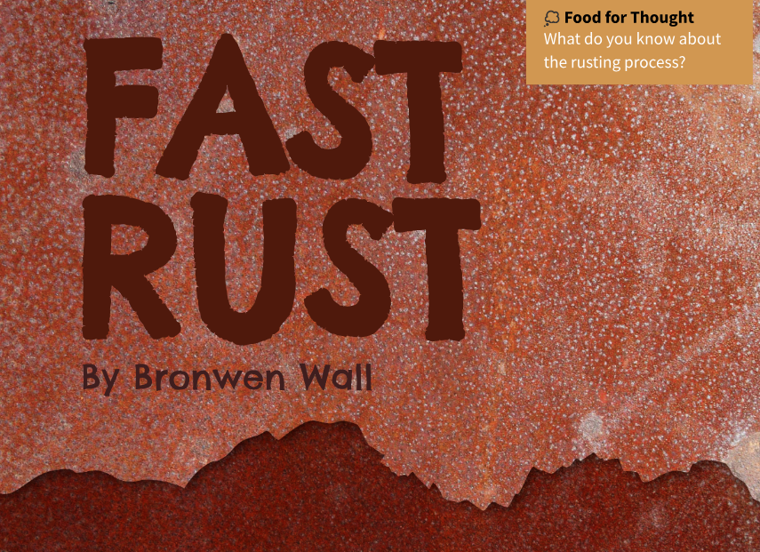 Fast Rust