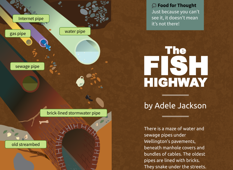 The Fish Highway