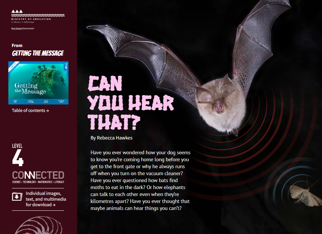 Can You Hear That?