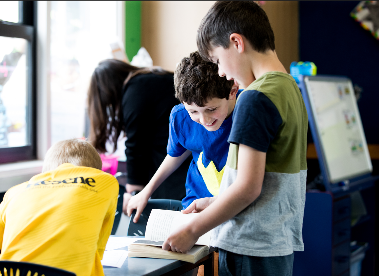 Rotarota - Active poetry