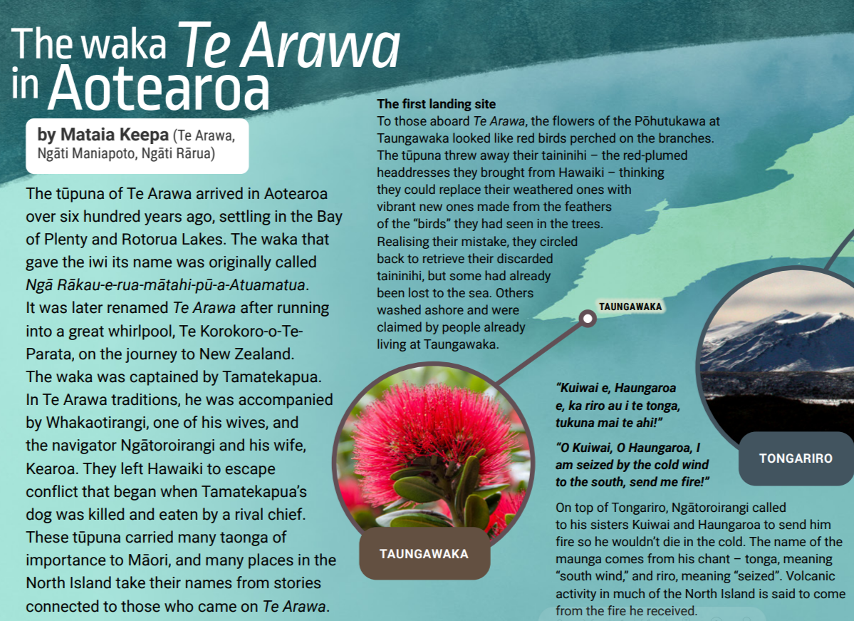 The Waka Te Arawa in Aotearoa