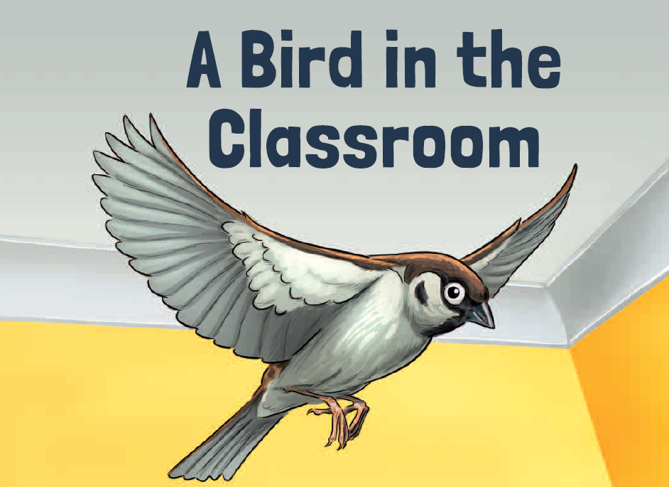 A Bird in the Classroom