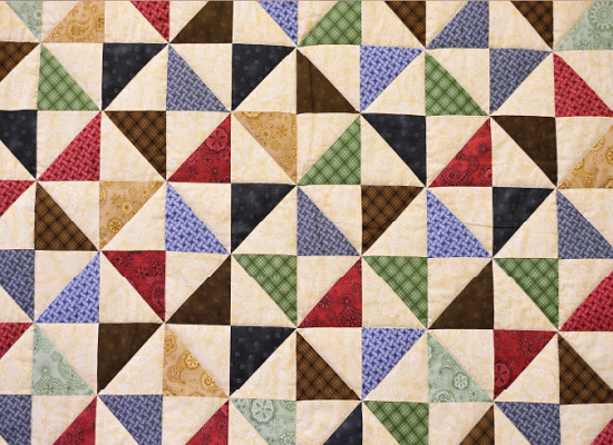 New Zealand Curriculum Home