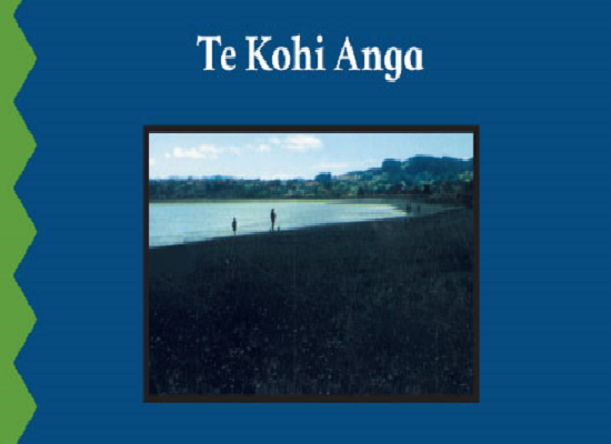 Te Kohi Anga