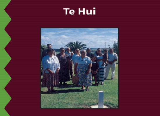 Te Hui