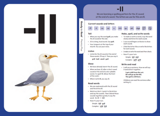 Ready to Read Phonics Plus Phonics Cards - Tupu | Seedling