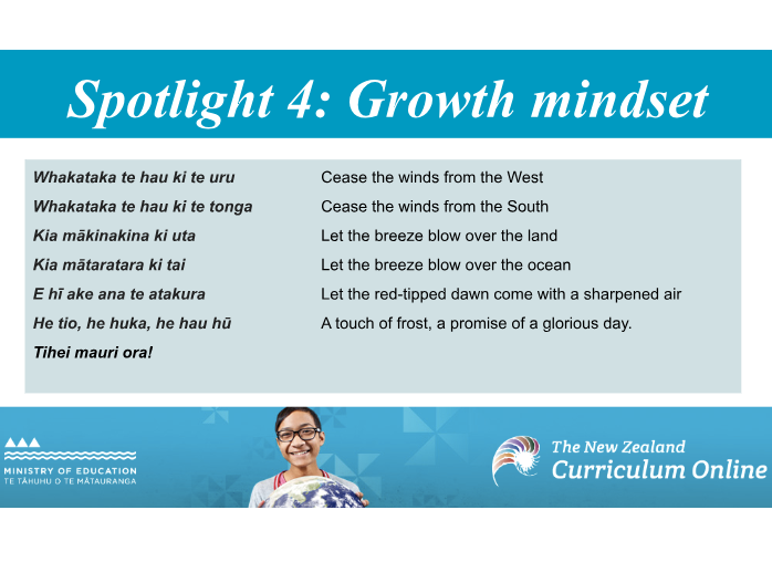 Growth mindset – PLD session for schools