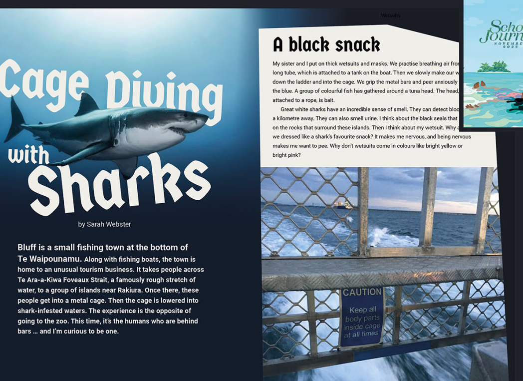 Cage Diving with Sharks