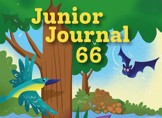 Junior Journal 66 Level 2 2023