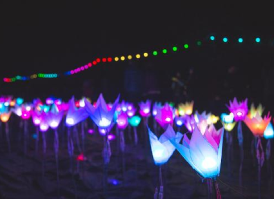 Local curriculum in technology using a light festival