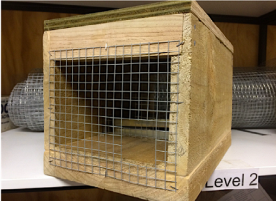 Local curriculum design - Manufacturing predator traps