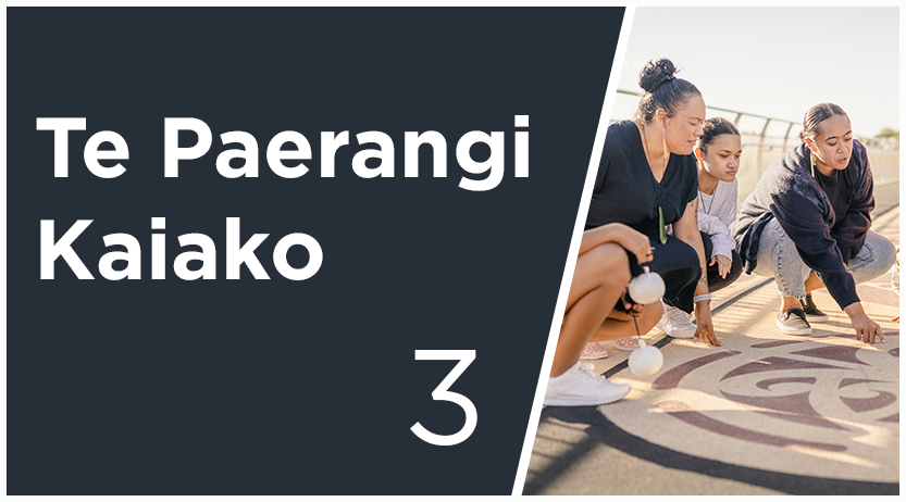 Te Paerangi Kaiako 3