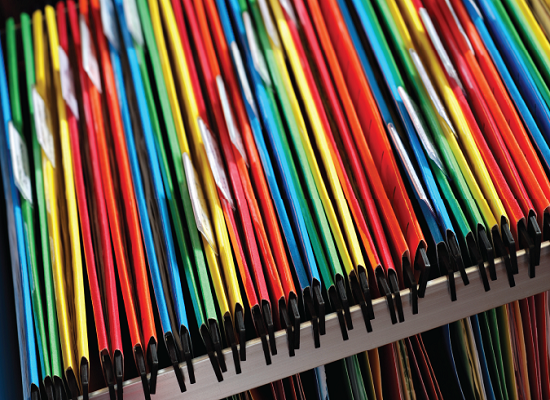 Long term plans for mathematics and statistics (for NZC 2007)