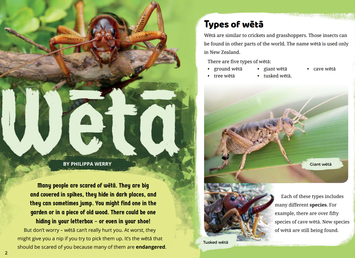 Wētā: Technology in the School Journal
