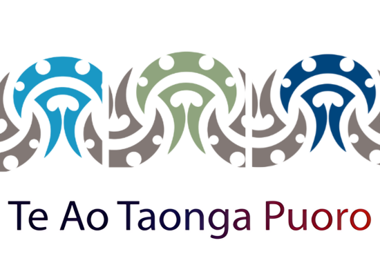 Te Ao Taonga Puoro