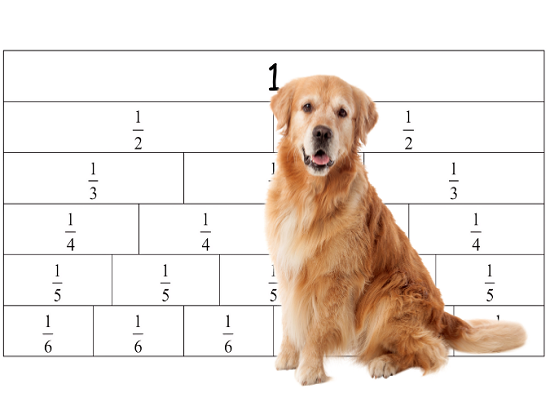 Feeding pets - Numeracy activity