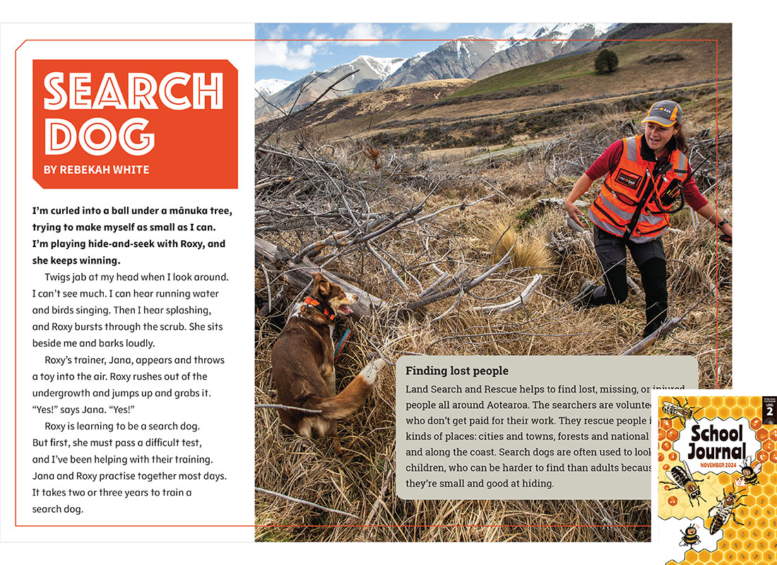 Search Dog