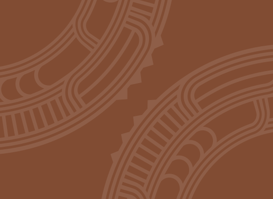 NZC – Technology Phase 2 (Years 4-6)